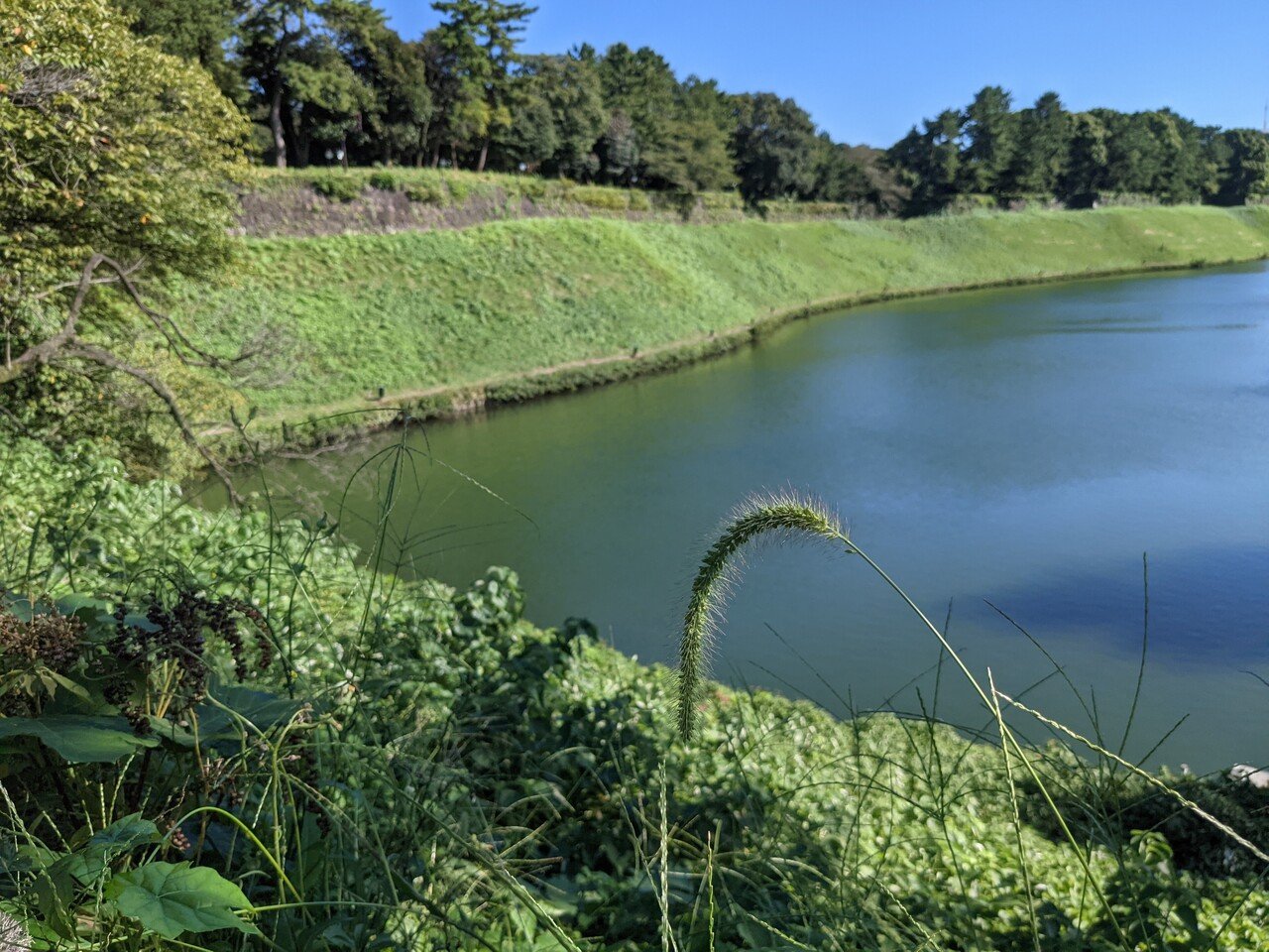 俳句100本ノック、またもや新会場！ 第9弾は、りらちゃん！ 目指すはトータル900句！ https://note.com/rira_ikeda/n/nfaaafcd99ed1 皆さま、宜しく ...