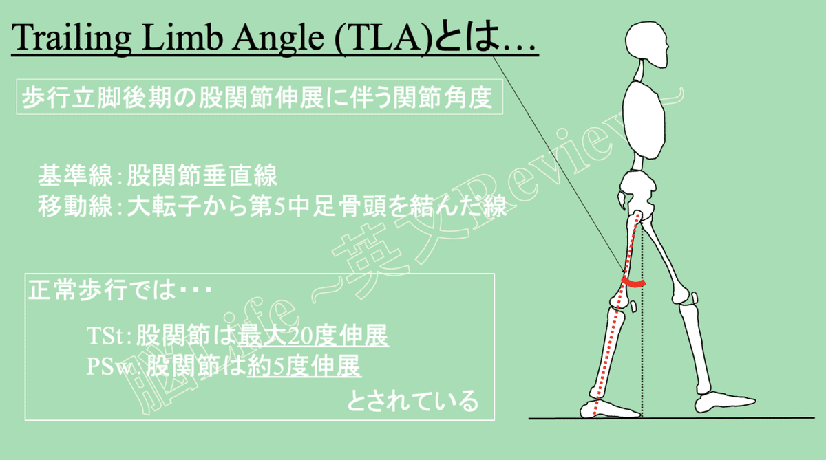 TLAが歩行推進力に与える影響｜板敷 裕喜/小児・発達領域