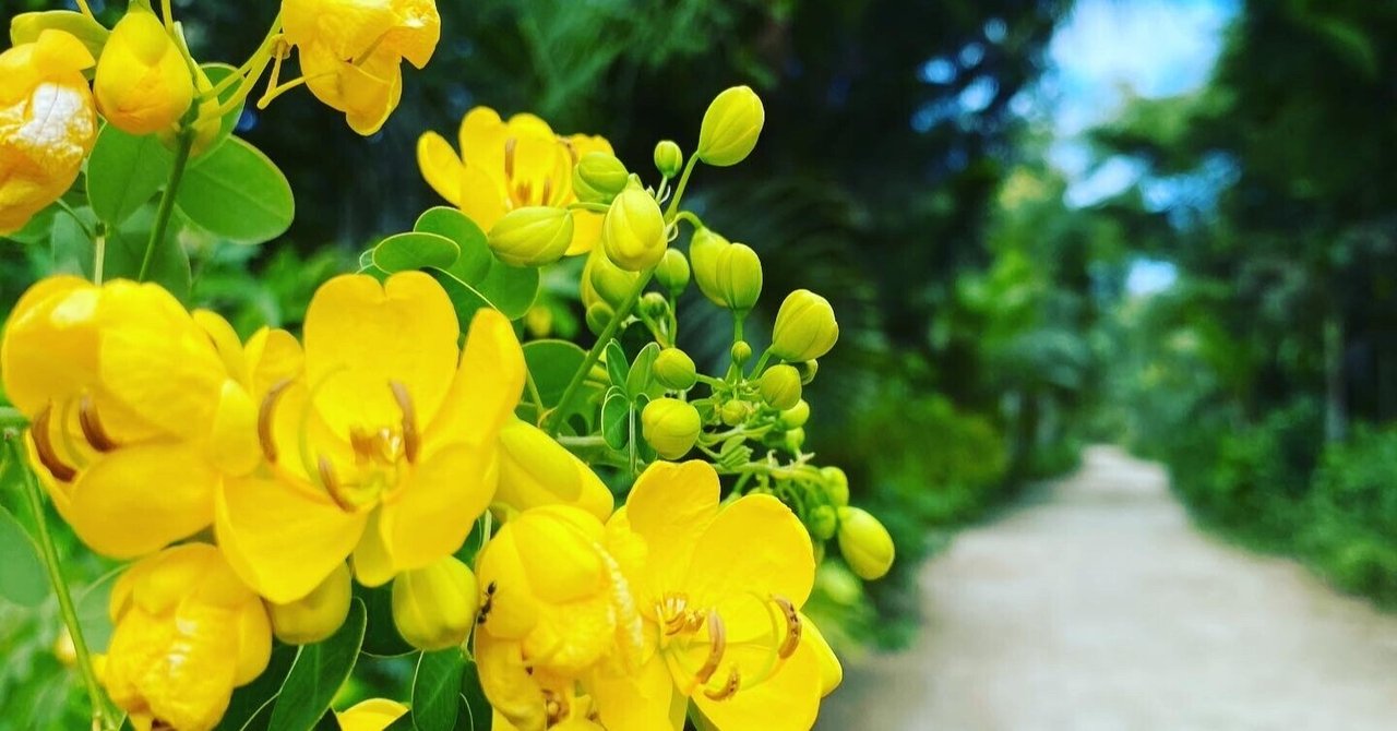 高齢者の足に視点を向ける｜阿邊里恵_rie abe