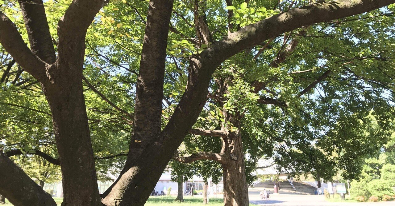 LIVEのお知らせ｜GORO-TATSUTA シンガーソングライター｜note