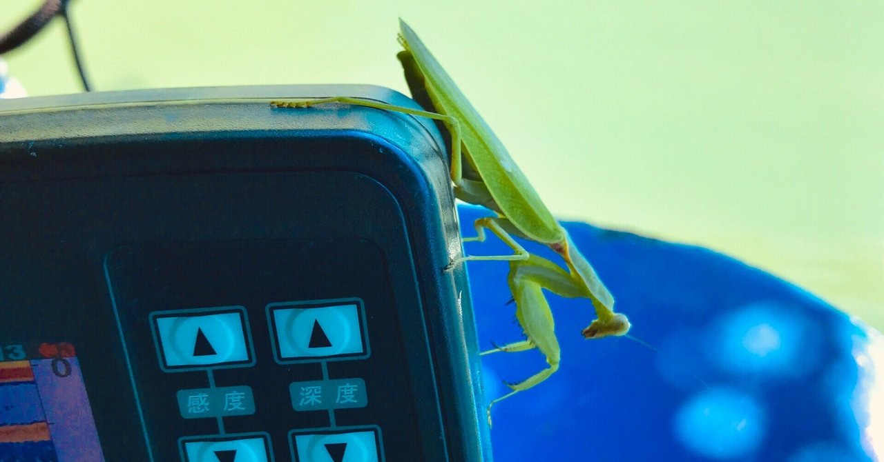 亀はカマキリを食べない｜水藤友基 / Tomoki Suito