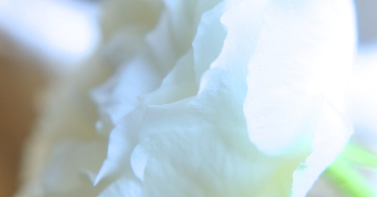 こんな、世界へ。・。・。・｜Cosmic Suzu｜note