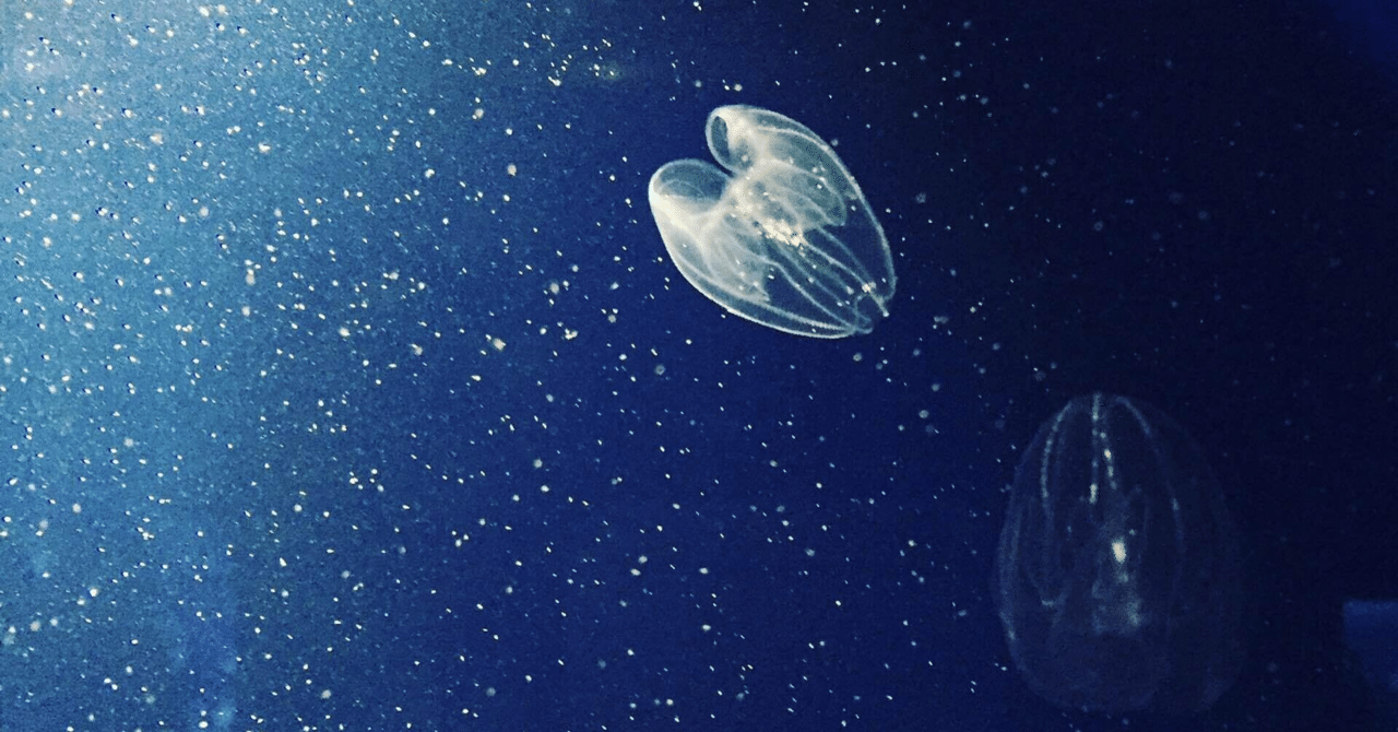 【DIARY 20210925】セットリスト完成｜YAFUMI｜note