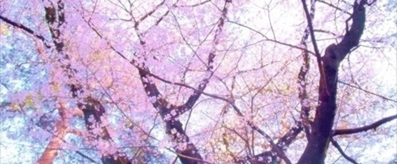 ねがひ[短編小説]｜H_Itaru｜note