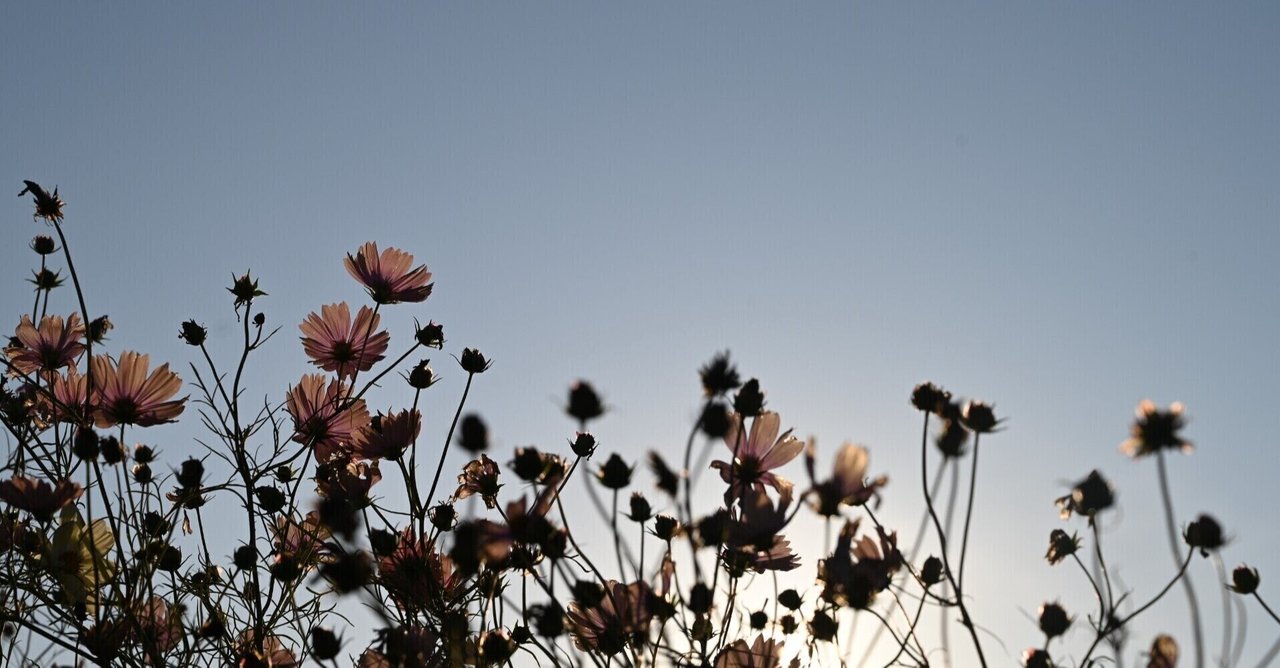 自分の言動、もう気にしない。｜arinko