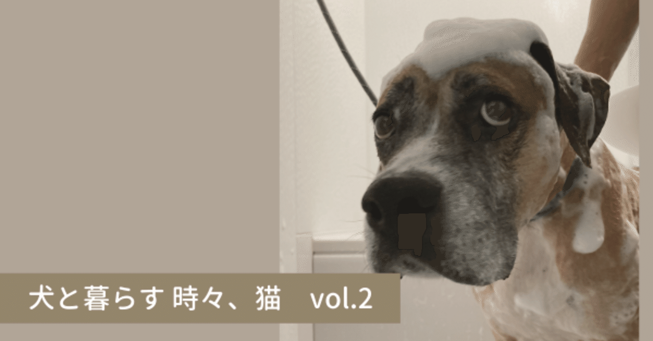 犬と暮らす 時々、猫 vol.2｜HEKA Petlife株式会社