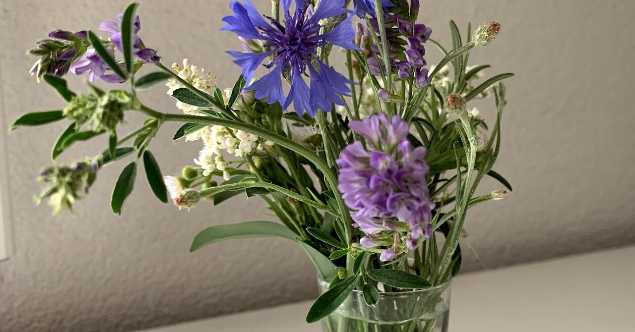 いつも花があった。｜Kazen｜note