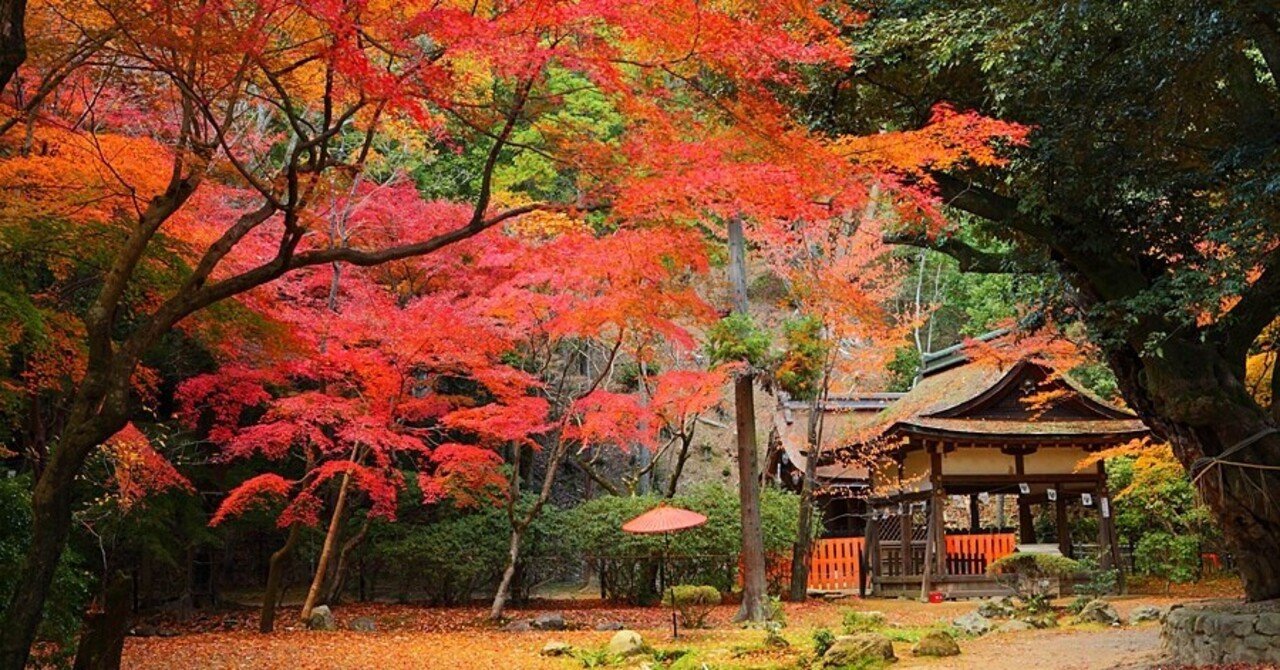 独り茶は、「鶉鳴く」心境と重なる 【一茶庵稽古追想】 Alone tea overlaps with the feeling of ...