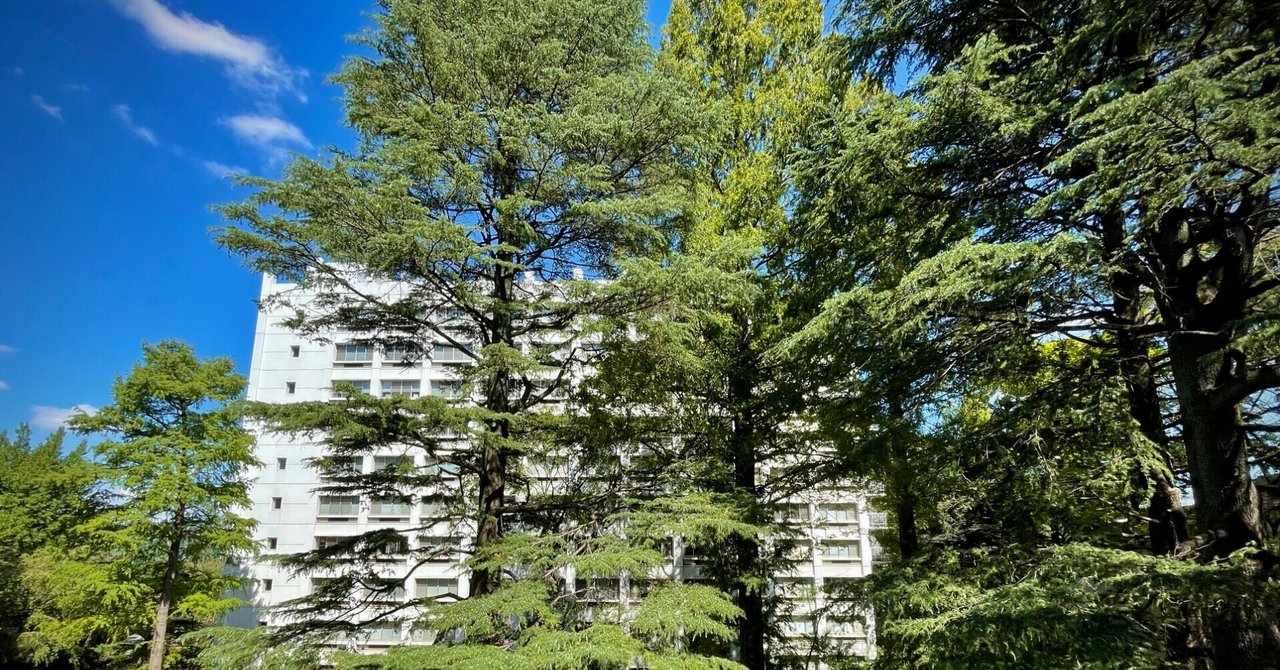 キャンパス環境と身体、最近のこと。｜宮島衣瑛 / Kirie MIYAJIMA