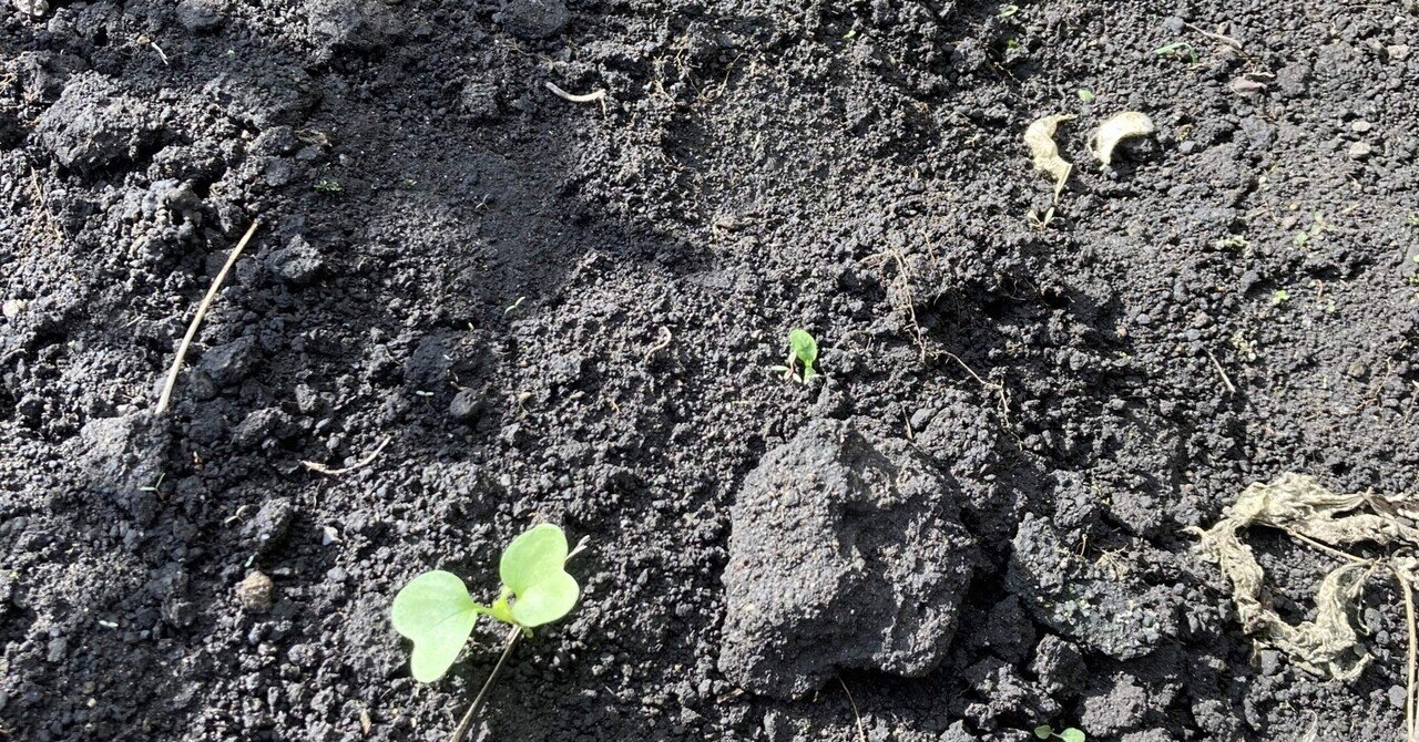 御先祖様のご縁。｜simasima｜note