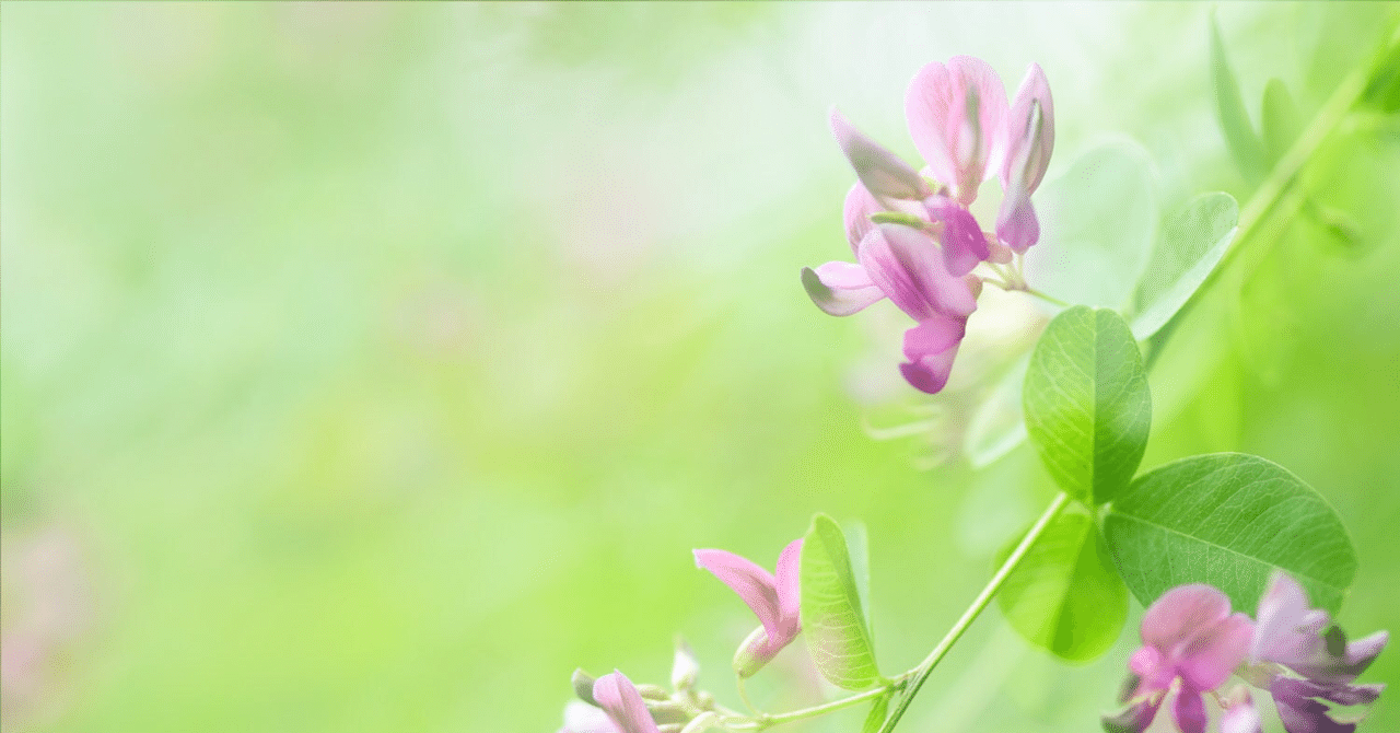 心が かるくなる ことば〜自分の軸はどこにある？〜｜Ryosuke Matsusima