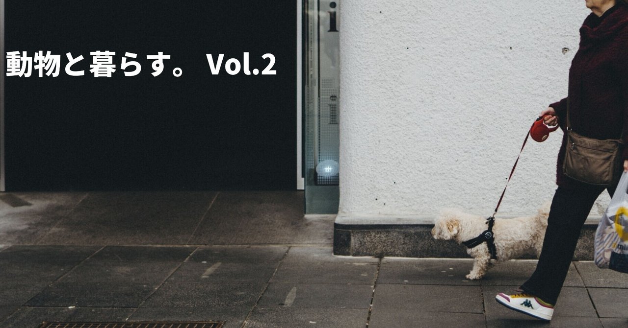 動物と暮らす。 vol.2｜HEKA Petlife株式会社