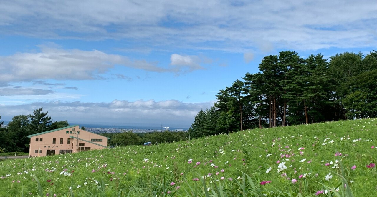 #89 観光バス続々復活｜Masanobu Sagami