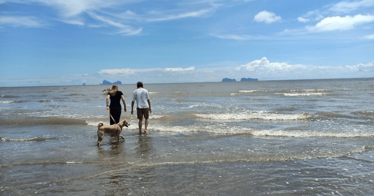 最初の1週間｜rikako ｜note