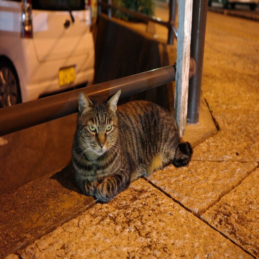 GR IIIxレビュー(1)到着、開封、初撮り｜utsuno｜note