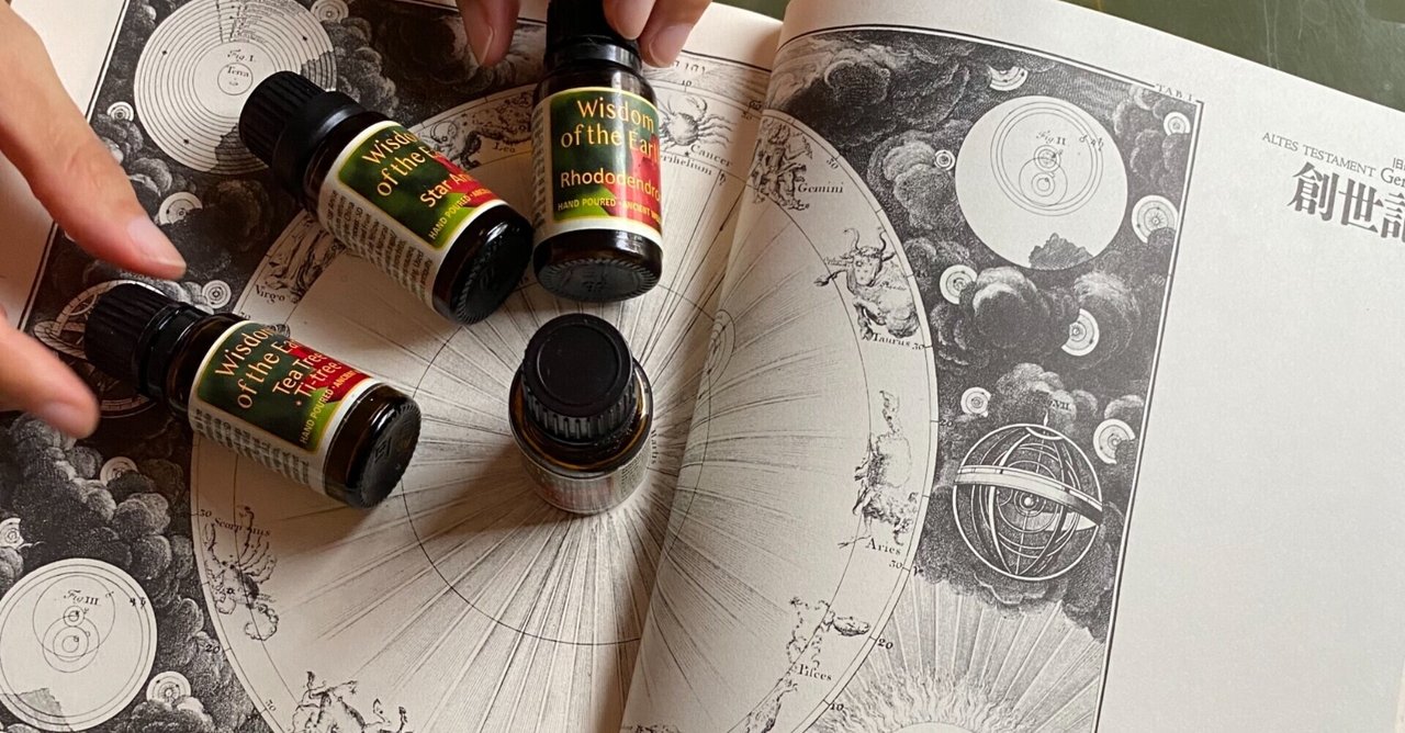 「月桂樹(ローレルリーフ)から読み解く私」「𝟣𝟤星座と身体〜自分を知るための星と嗅覚」｜Oli SAORI