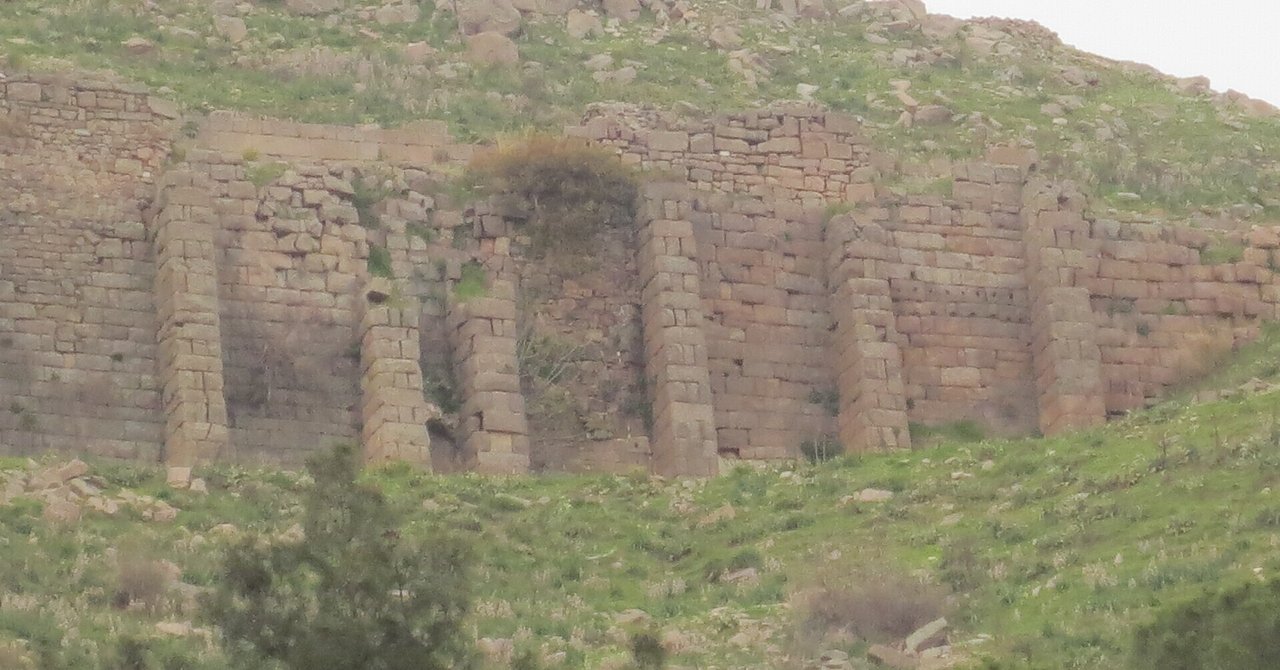 Tömerについて｜Kaori Pergamon