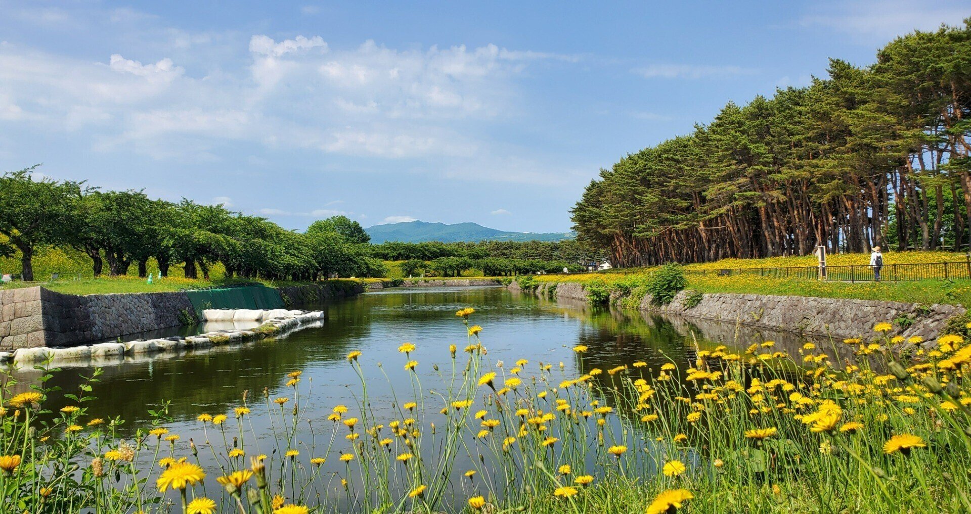 Saori_shirokuma｜生態系をともに繋ぐライフコーチ｜note