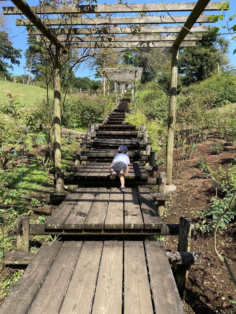 【小旅行】草笛の丘に行った話｜shimpei ito｜note