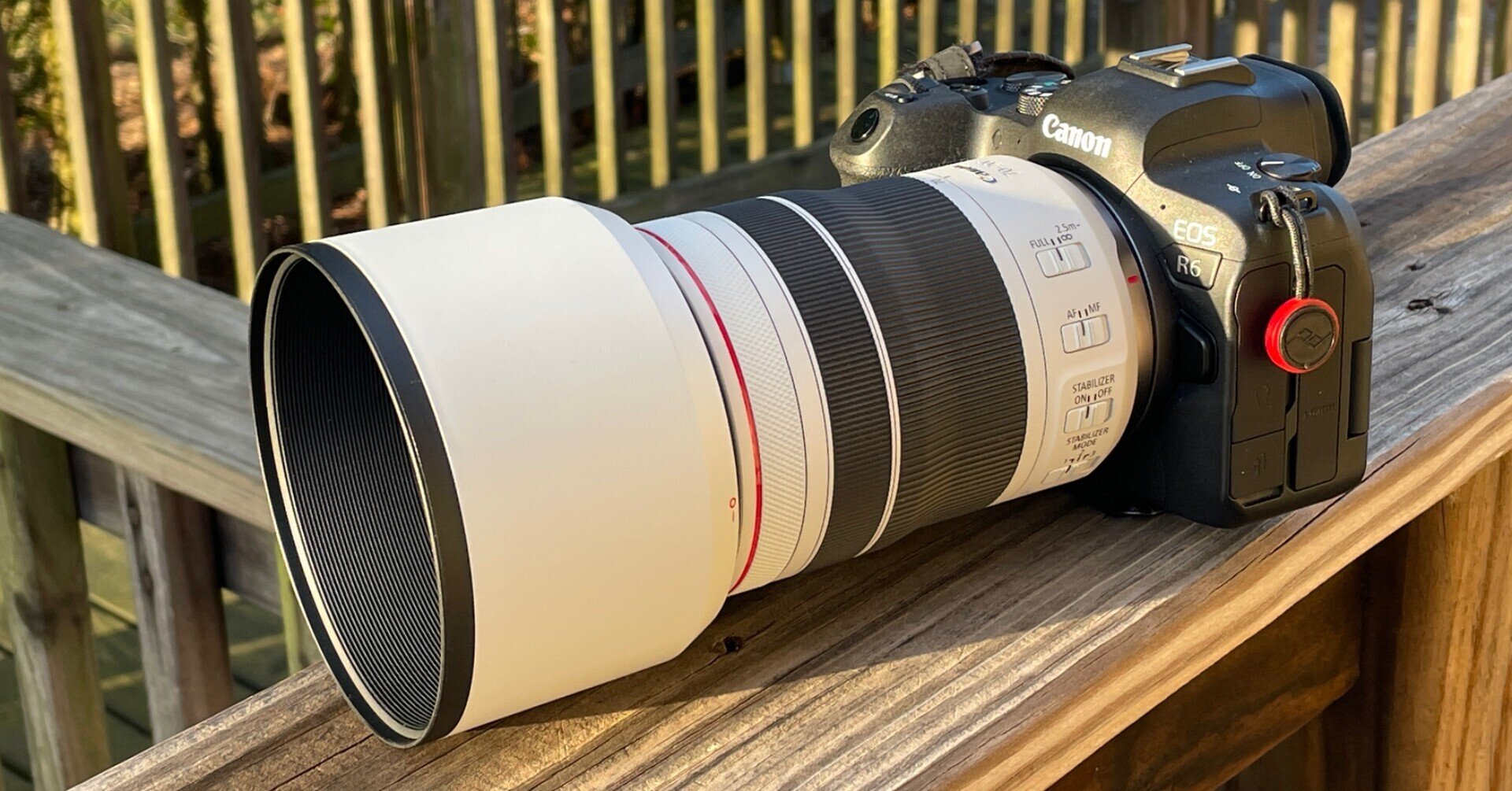 初RFレンズのRF 70-200 f/4L IS USMを導入|MOJA MOJA 初RFレンズのRF 70-200 f/4L IS USMを導入|MOJA MOJA