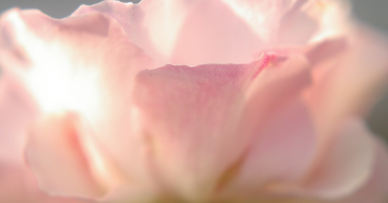 女性たちよ・。・。・。・｜Cosmic Suzu｜note