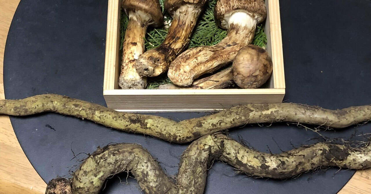 とろろ｜retugg｜note