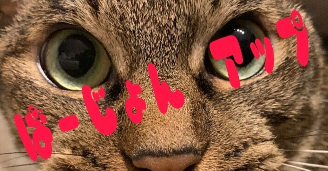 10/11🔥ばんえい競馬10R 🔥19:20｜😼ちゃっぴー新聞😼｜note