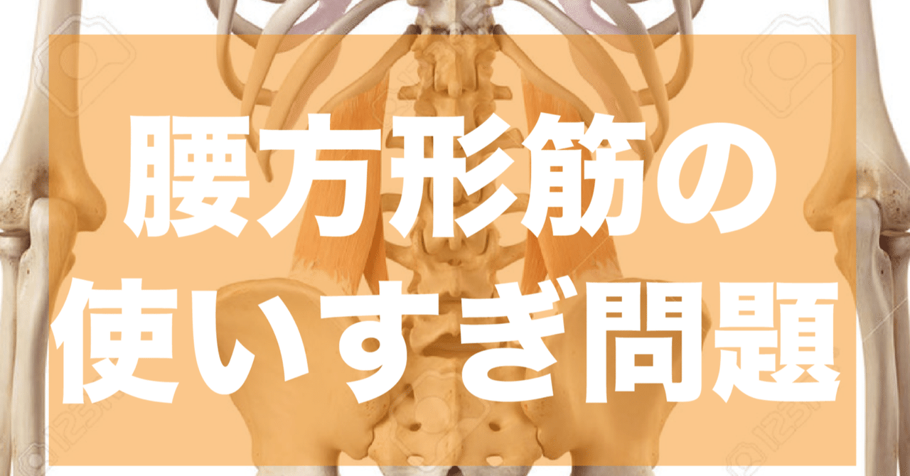 腰方形筋の使いすぎ問題｜Masashi.Anzai~動作･身体の専門家~｜note
