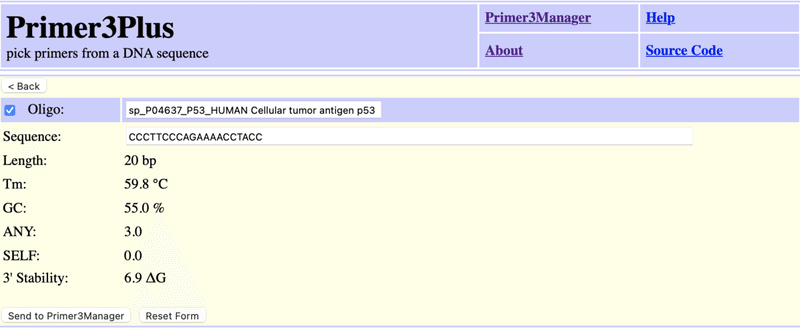 書記のBio/Chem-Info日誌#14 プライマー設計をする（Primer3Plus，Primer-BLAST）｜Writer_Rinka