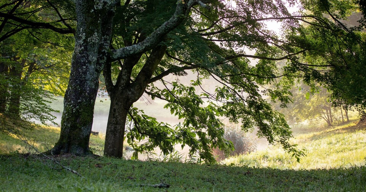 ありがたいお誘い｜sikuramen