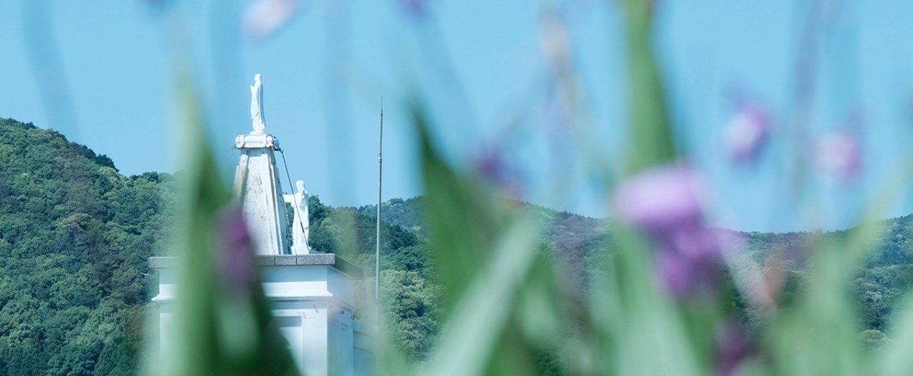 マリア像の撮影を始めて3年目｜Dialogue With Mary @shinya-hirose