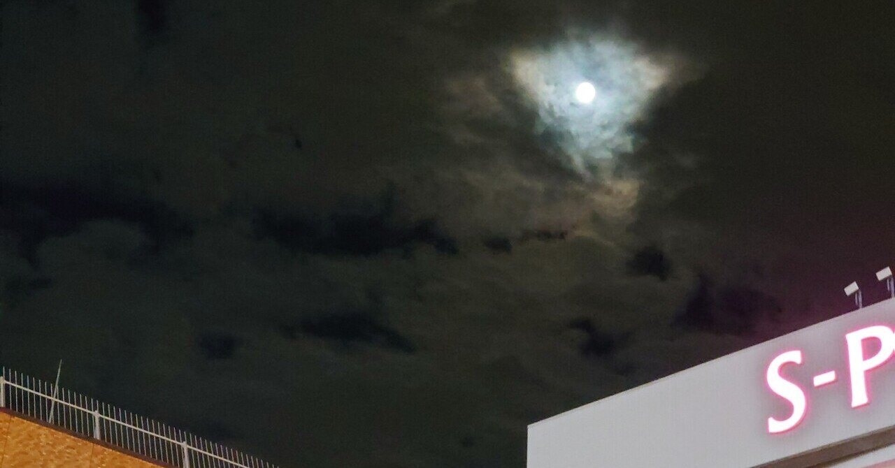 Polca Dots And Moonbeams｜sendai_kabo3792