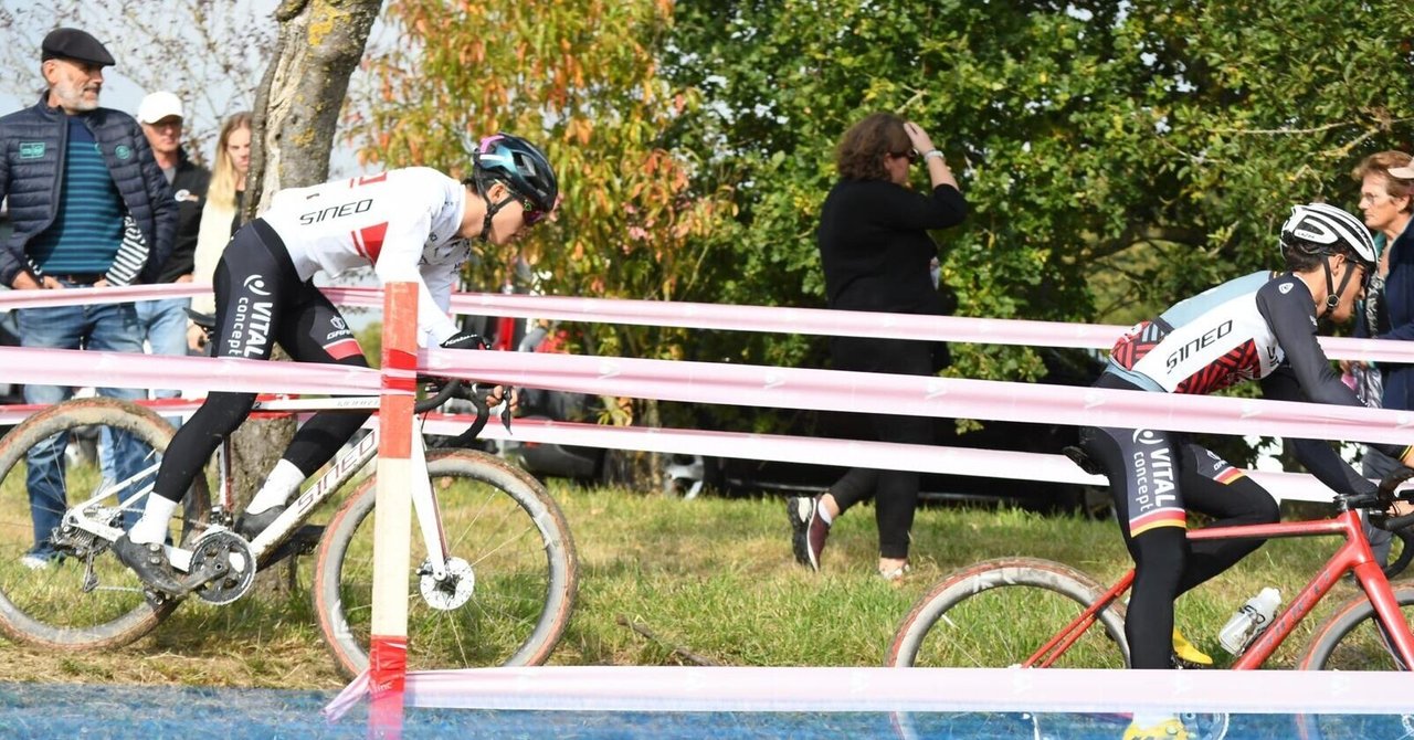 数レースで感じたレースの印象｜raito_suzuki｜note