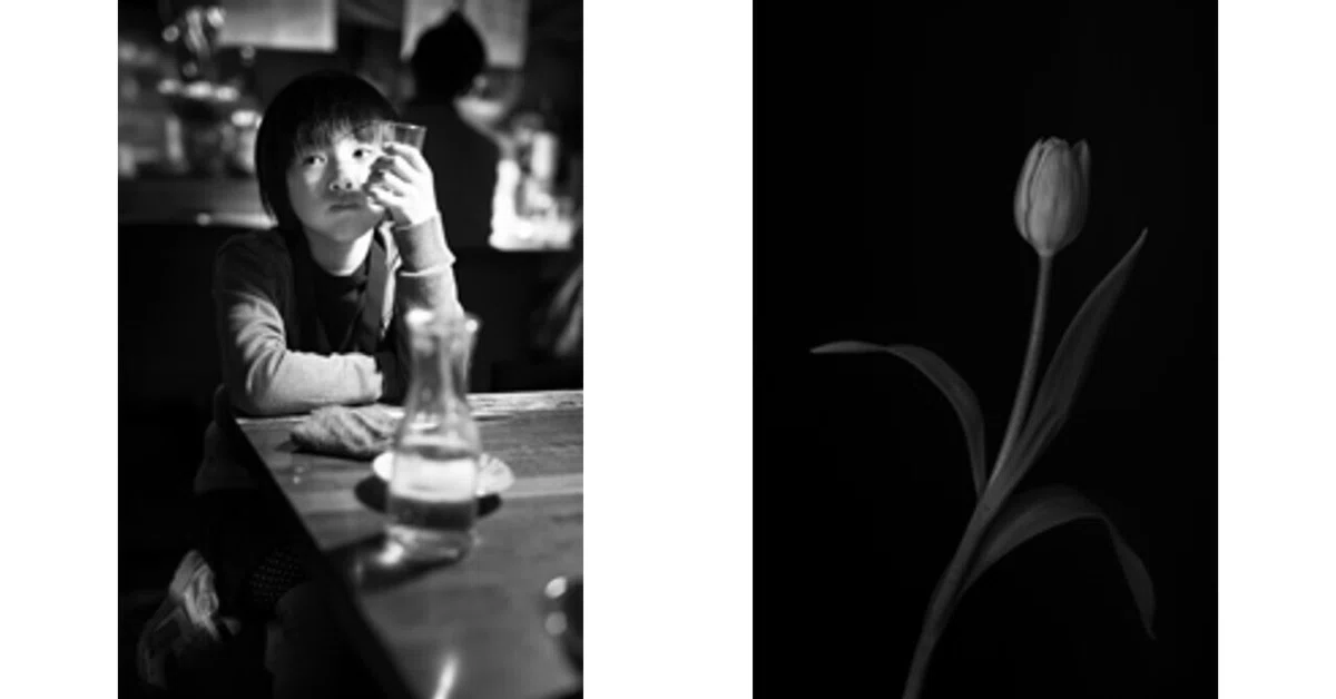 Why are 'masterpieces' boring?: A discussion on photographic ...