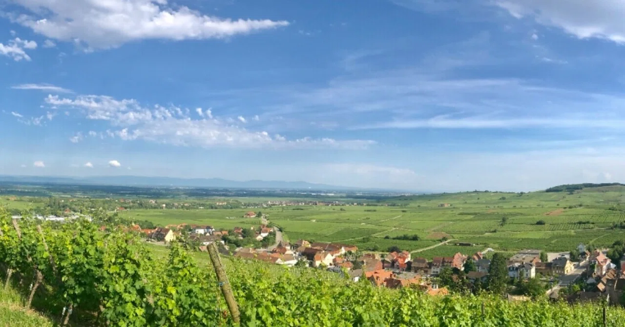 Letter to Alsace｜kaoru