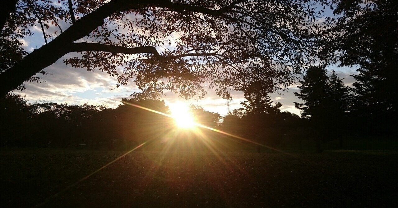 奇跡のコース実践記録17｜(Linp&Ruru) 本当の自分を知り、本当の自分として生きる｜note