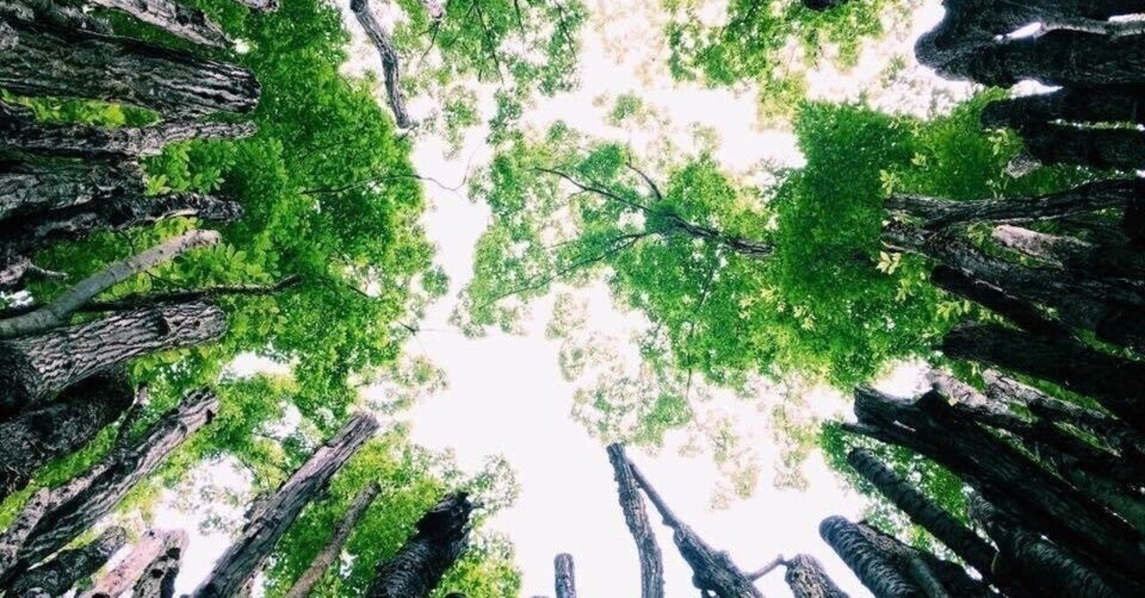 いかに休むか？少しでも多く休むようにする｜野呂エイシロウ Noro Eishiro