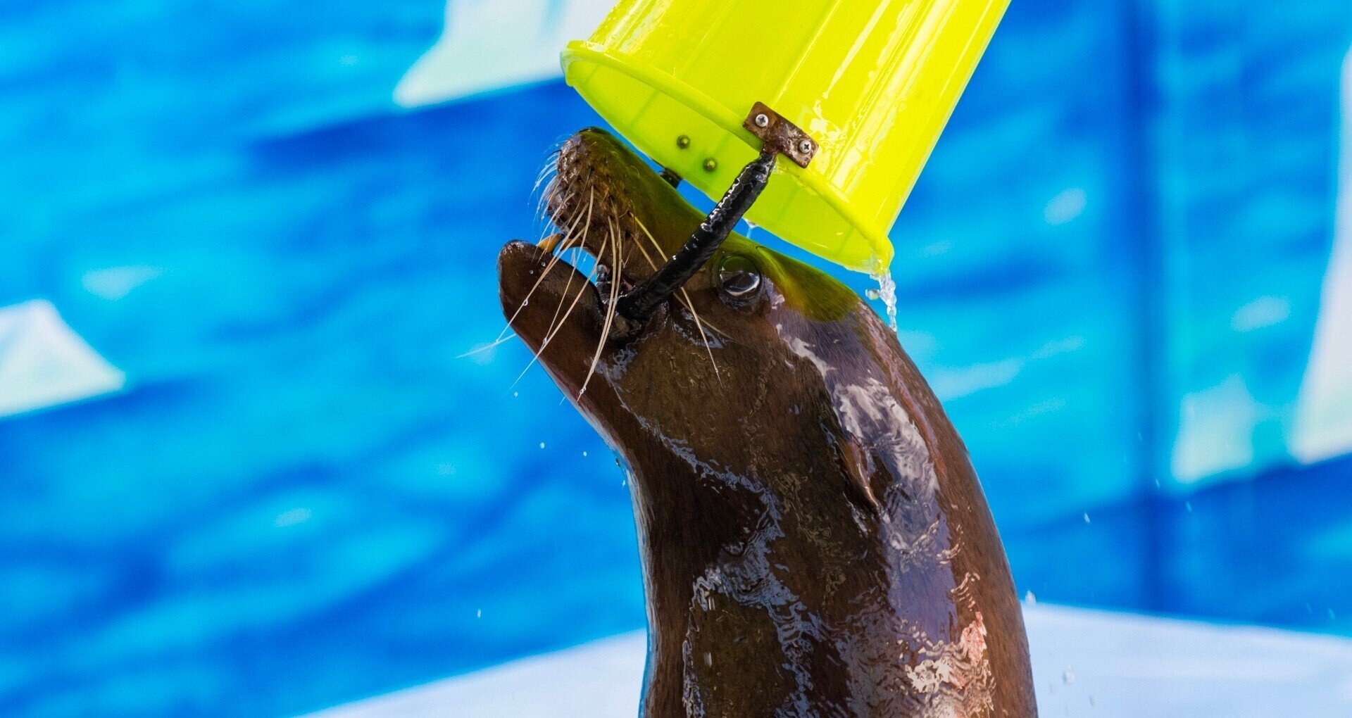 kohei_munakata｜note