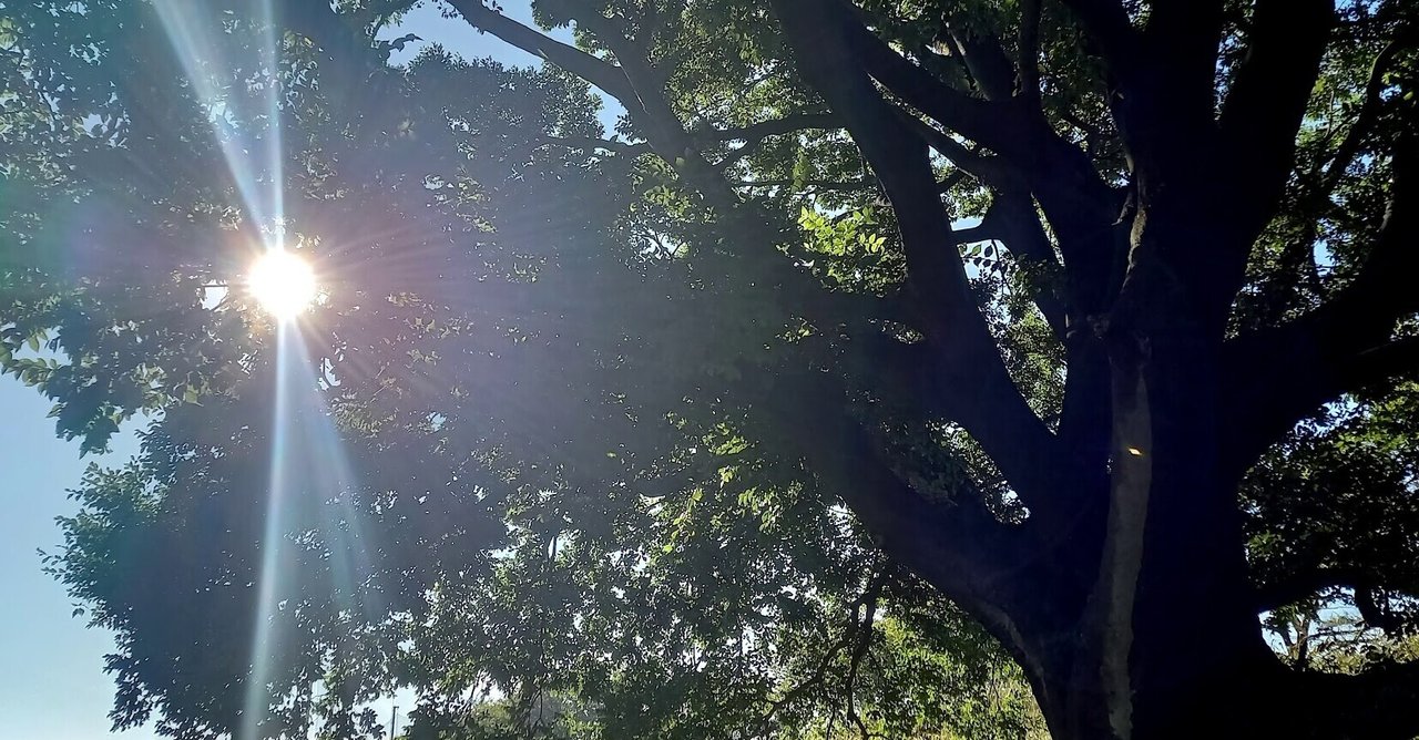 やめる勇気と本当の自分の声｜Rinco｜note