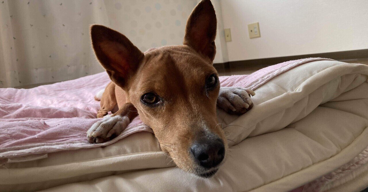 ひとりになりたい｜warab_ee｜note