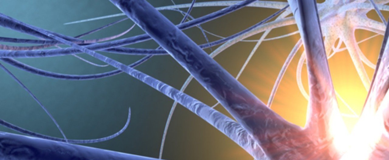 カラダの『情報』から自分の状況を少しだけ垣間見て｜Keiko Usami