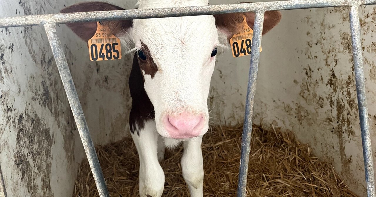 日本との自転車に対する扱いの違い(前編)｜raito_suzuki