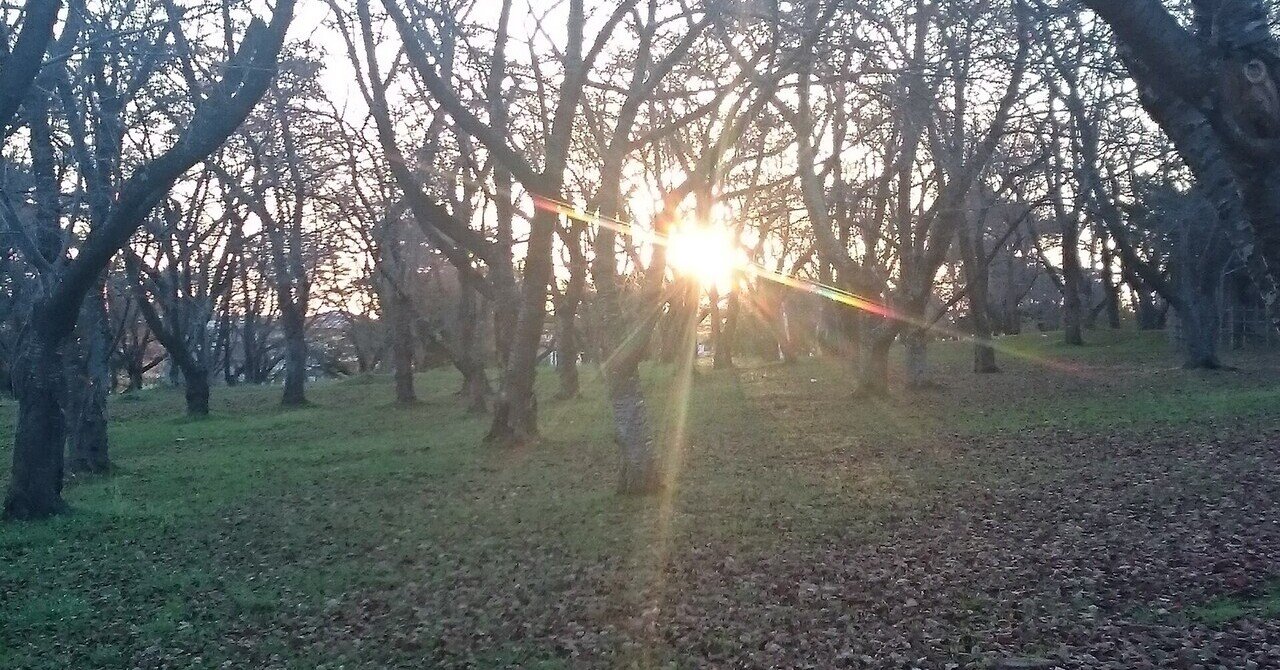 奇跡のコース実践記録18｜(Linp&Ruru) 本当の自分を知り、本当の自分として生きる｜note