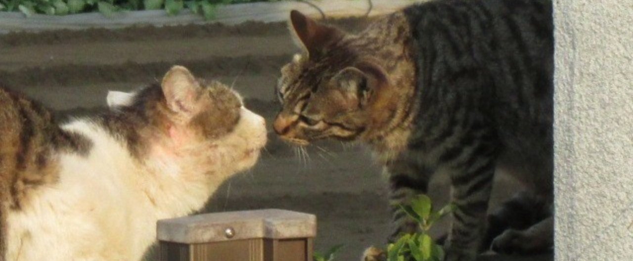 キスをするための、キスの練習｜shingo_moriya｜note