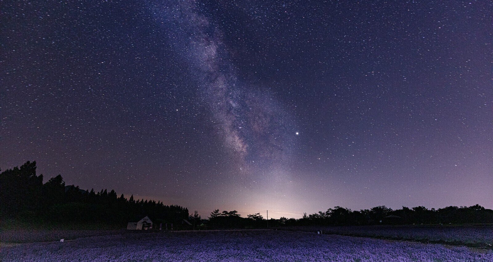 Zeroichi Arakawa | Ara｜note