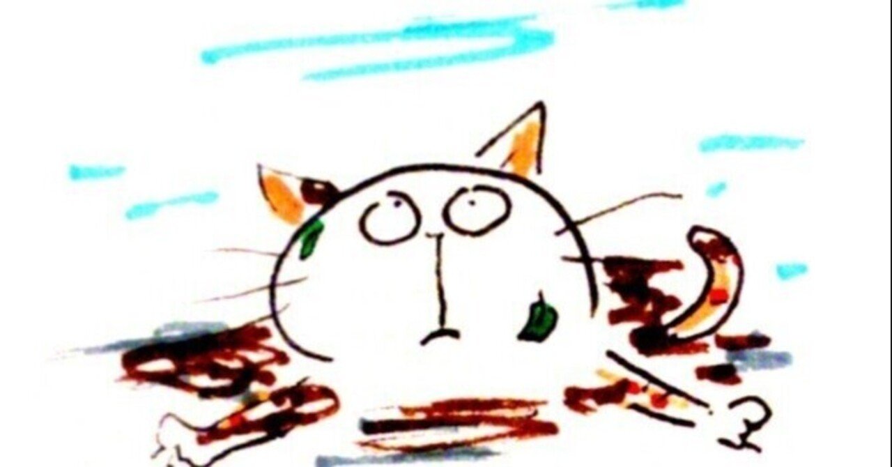 色々あったので近況報告｜tinner