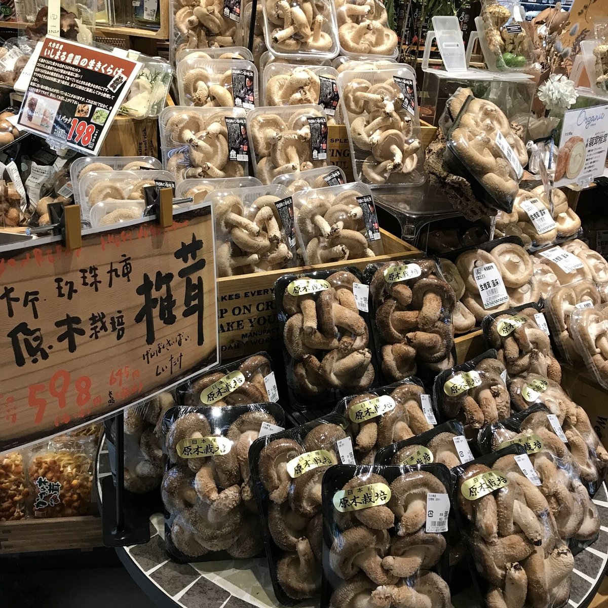 九州にある、業界で一番視察が多いスーパー、ハローデイのお店「ボンラパス」とは！？｜ipoca@逆襲の女子デザインチーム