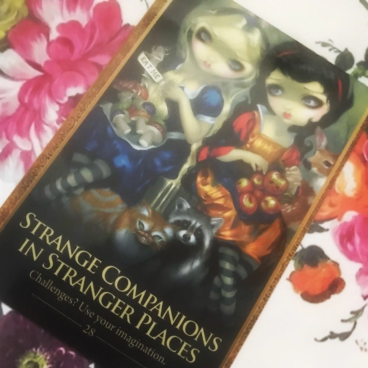 Strange companions in stranger place｜Rafa_ラファ