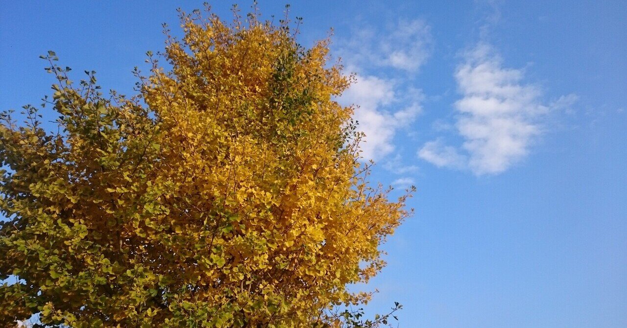 奇跡のコース実践記録20｜(Linp&Ruru)本当の自分を知り、本当の自分として生きる