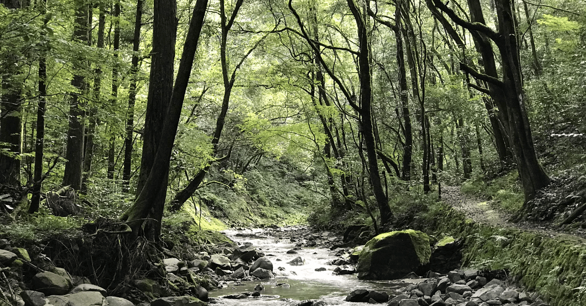 Cloud Formationを使ってGolang製LambdaのCICDをGitHub Actionsで構築してみた｜SHIFT Group 技術ブログ